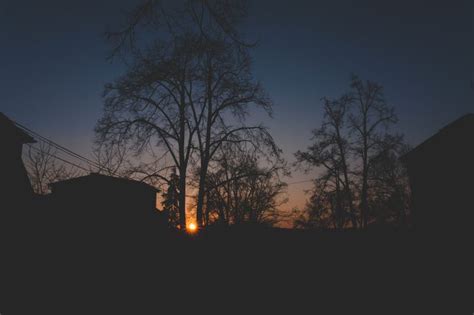 Vitamin D Monitoring For Bone Metabolism Disorders Immunodiagnostic Systems Ids Posted On