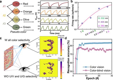 Color Mixed Pattern Recognition A With Different Combinations Of Download Scientific Diagram
