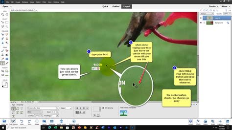 Problem With Text Box Adobe Support Community 13755418