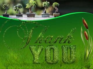 Seed Germination Ppt PPT