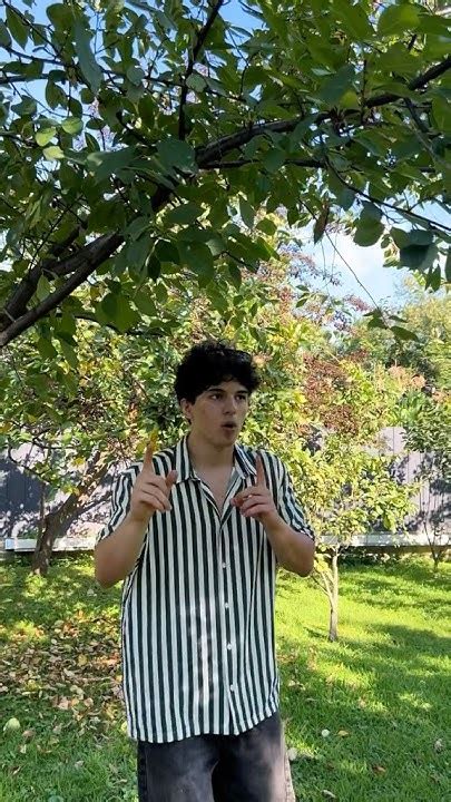 მაიკა დამესვარა 😂 Humor Newhumor Comedyfilms Newcomedy Comedymovies Funnycomedy Youtube