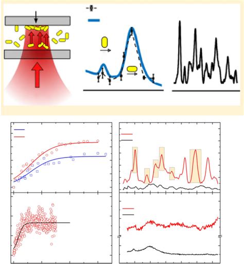 20 Schematic Representation Temporal Evolution Of Aggregation Of Download Scientific Diagram