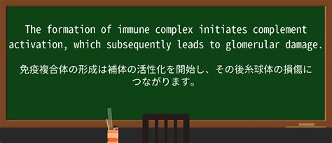 【英単語】immune Complexを徹底解説！意味、使い方、例文、読み方