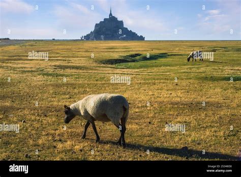 Beautiful View Of Famous Historic Le Mont Saint Michel Tidal Island