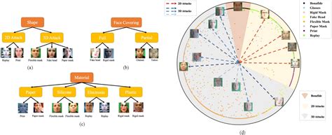Figure 1 From Hyperbolic Face Anti Spoofing Semantic Scholar
