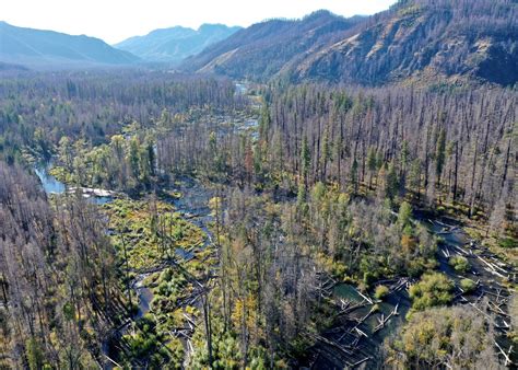 Lower South Fork Mckenzie River Valley Reconnection Phase 3 Mckenzie