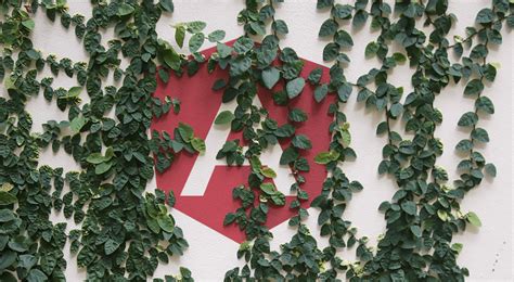 Angular 900 And Ivy Improvements Ionic Blog