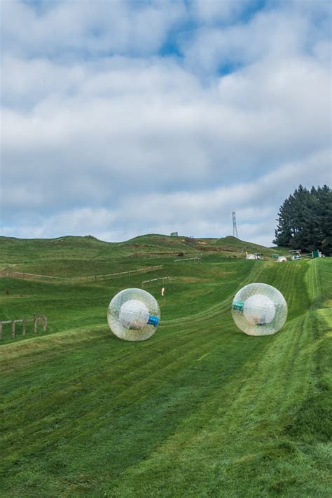 A Unique Zorb Adventure With Ogo In Rotorua Wandering The World