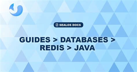 Guides Databases Redis Java Sealos Docs