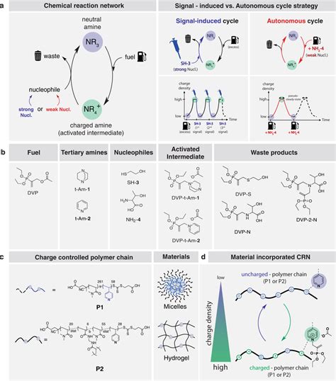 Schematics Of The Chemical Reaction Network Crn Its Conditions And Download Scientific