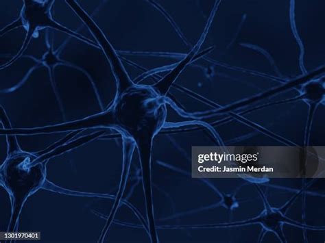 Synapses Pattern Photos And Premium High Res Pictures Getty Images