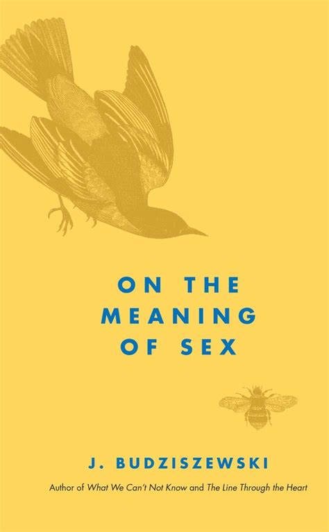 On The Meaning Of Sex Book By J Budziszewski Official Publisher
