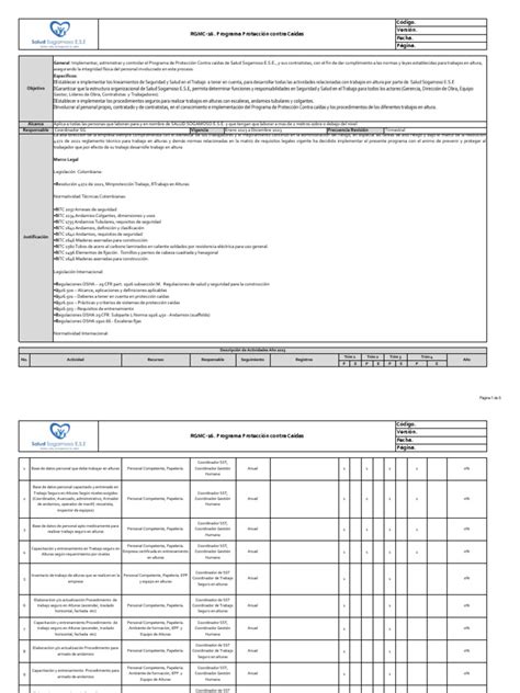 Rgmc 16 Programa Protección Contra Caidas Ese Pdf Administración De Seguridad Y Salud