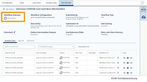 Chapter 4 Run The Workflow Anvil Subsetting Your Data With Wdl