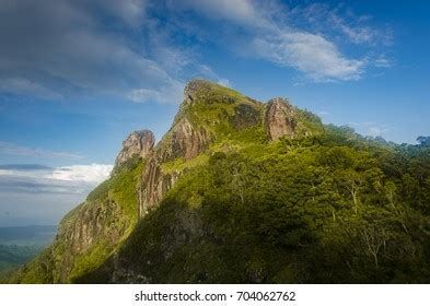 Pico De Loro Stock Photo Shutterstock