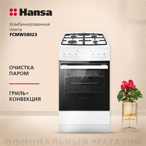 Комбинированная газовая плита Hansa FCMW58023 с электрической духовкой ...