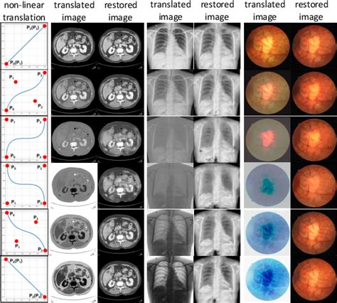 Figure 2 From A Knowledge Based Learning Framework For Self Supervised