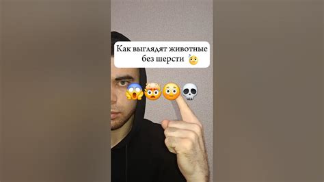 Как выглядят животные без шерсти 😳🤯😱 рекомендации Reels реки Trending факты интересно