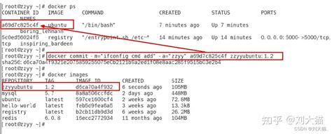 《docker基础篇：6 本地镜像发布到私有库》包括本地镜像发布到私有库流程、docker regisry是什么、将本地镜像推送到私有库 知乎