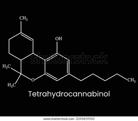 Thc Structure 2d Component Cannabis Which Stock Vector Royalty Free