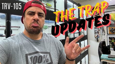 Green Tree Pythons Emerald Tree Boas Ball Pythons And Trap Updates