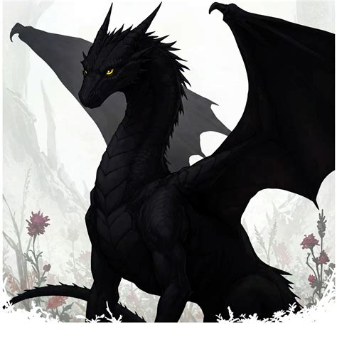 64 Black Northern Cliff Dwellers Ideas In 2025 Dragon Artwork Dragon