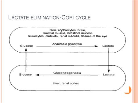 Lactic Acidosis An Update