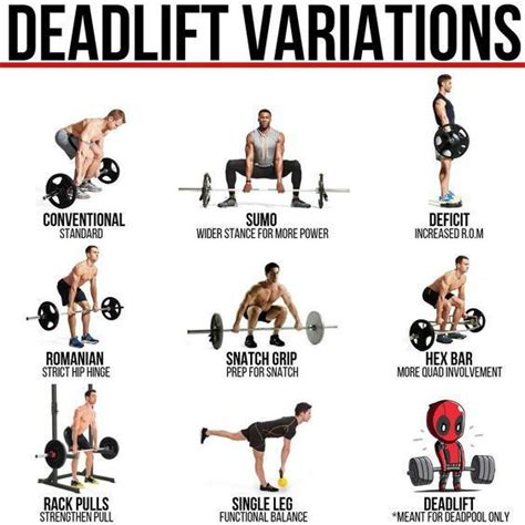Deadlift Variations Rcoolguides