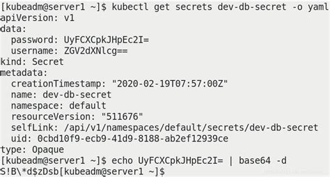Kubernetes存储（二）——k8s的secret配置管理创建、挂载、路径映射、设置环境变量、存储私有仓库认证信息k8s Run
