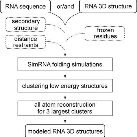 The Workflow Of The Simrnaweb Server Download Scientific Diagram