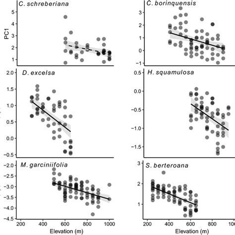 Intraspecific Variation In Traits And Tree Growth Along An Elevational Gradient In A Subtropical