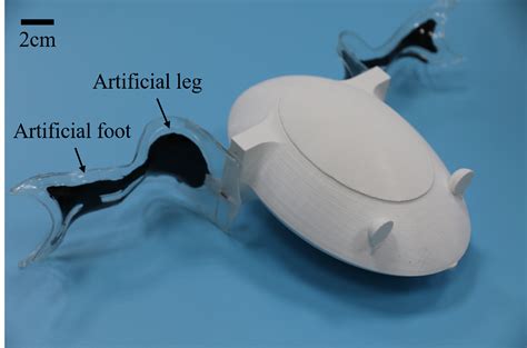 软体机器人中心 深圳市人工智能与机器人研究院 软体机器人中心 深圳市人工智能与机器人研究院