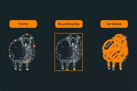 How To Label With Interactive Segmentation