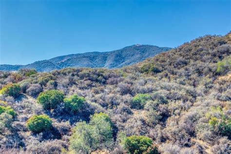 What Is A Chaparral Biome Climate Flora And Fauna