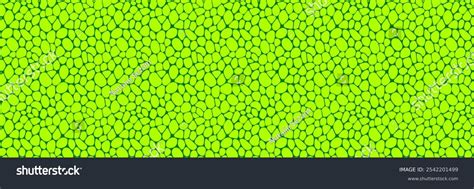 Seed Microscope Texture Over 44 Royalty Free Licensable Stock