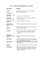 Brain Functions Table 2401 Anatomy And Physiology I Lab Session Brain Part Cerebrum Cerebral