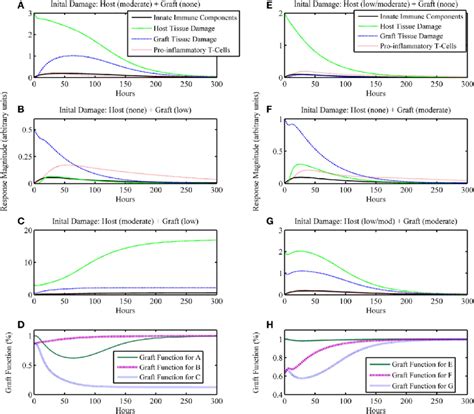 Simulation Results Of The Inflammatory Cascade Following Transplant