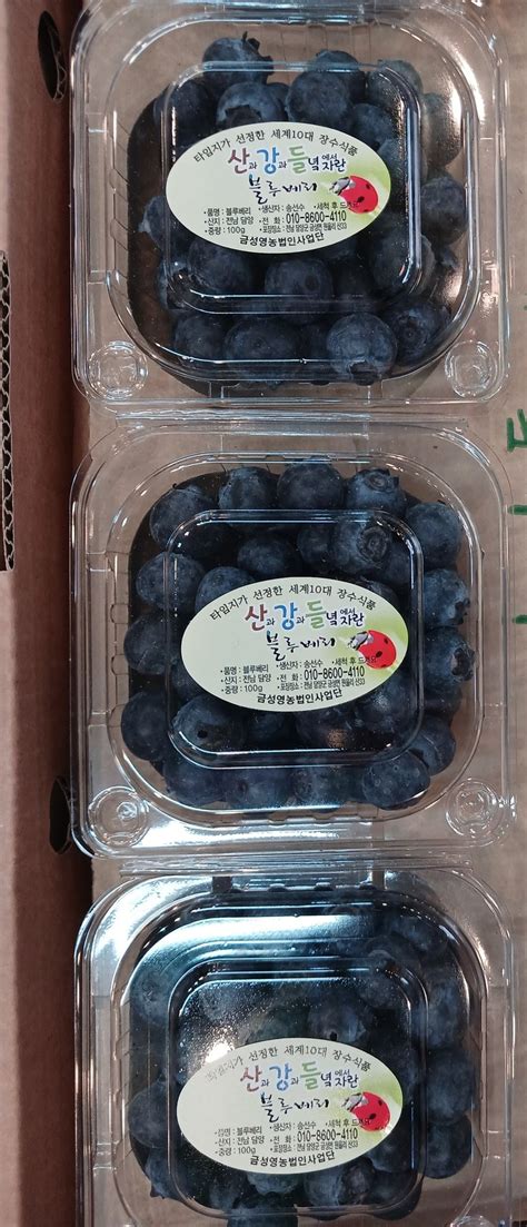 블루베리 3팩 배민 장보기∙쇼핑