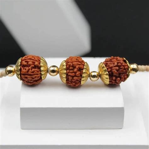 Natural Three Panchmukhi Rudraksha Tulsi Kanthi Mala Divyakinra Task