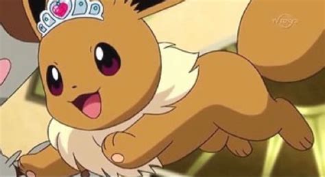 Pokemon Eevee  Pokemon Eevee Eevee Sleeping Discover Share S Artofit