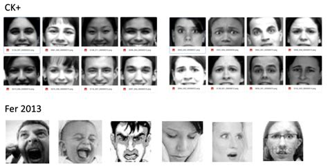 Selected Samples From Ck And Fer2013 Dataset Download Scientific Diagram