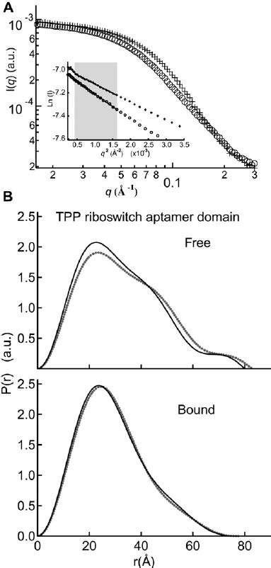 Metabolite Induced Conformational Switch In The Tpp Aptamer Domain A Download Scientific