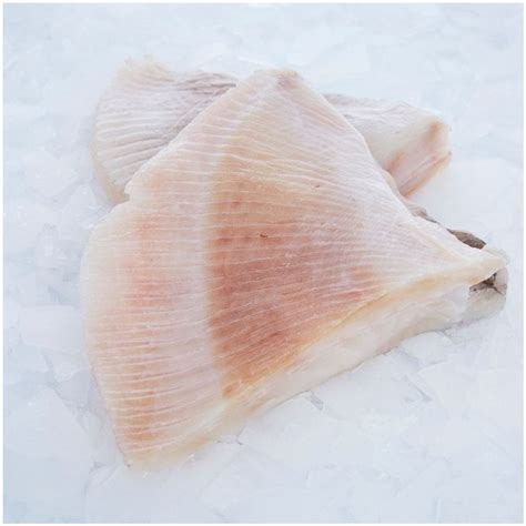 Aile De Raie Pelée ébarbée Msc Usa Iwp 400900 G Réseau Krill