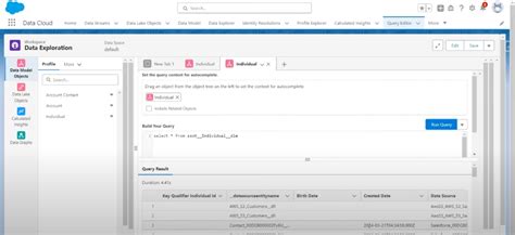 Data Cloud Modelling Data Review Using Data Explorer And Query Editor