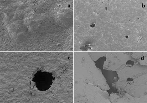 Sem Photographs Of Phb Films With Purified Phb Depolymerase Enzyme From