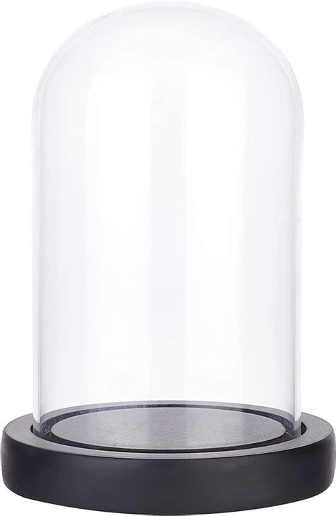 Glass Dome Cover Decorative Display Case Cloche Bell Jar Terrarium With