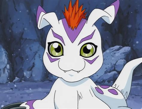 Gomamon Digimon Adventure Encyclopedia Fandom