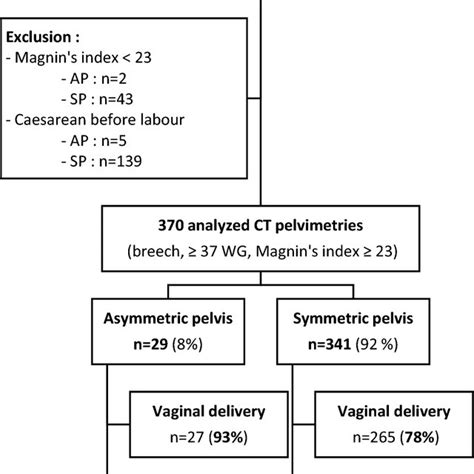 A Ct Pelvimetry Axial Oblique View Through The Pelvic Inlet 1 Download Scientific Diagram