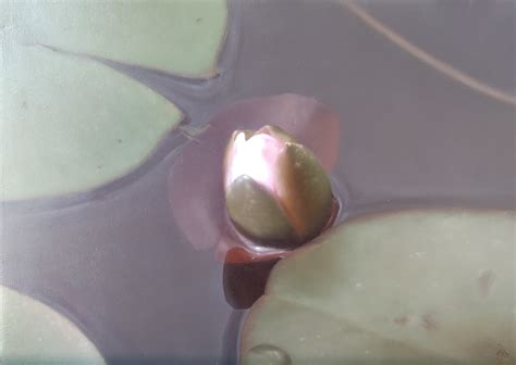 Original Drawn By Xuahqcpelcqniyj Danbooru