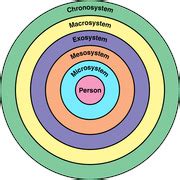 Bronfenbrenners Social Ecological Theory Diagram Seth Blair Free Download Borrow And